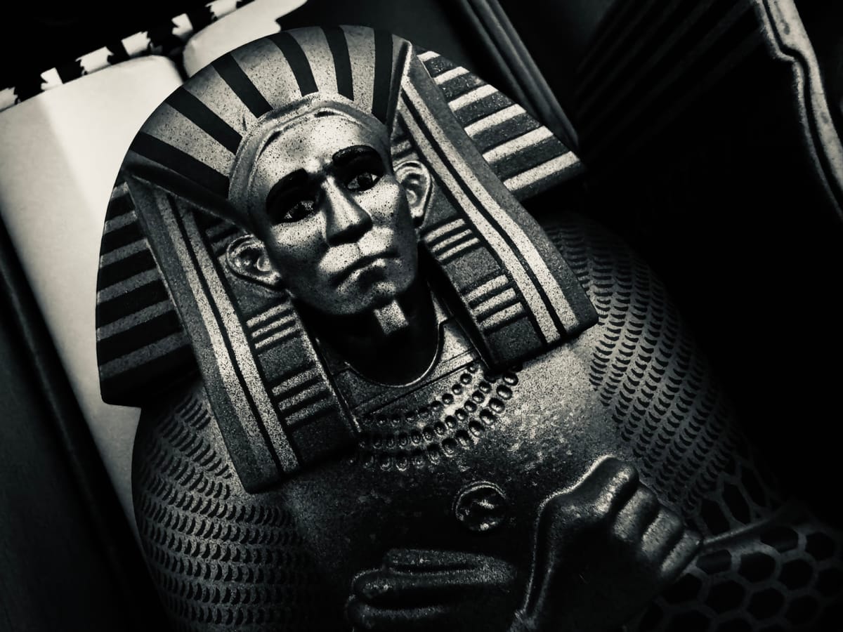 On the shelf: A new arrival, fresh from the tomb